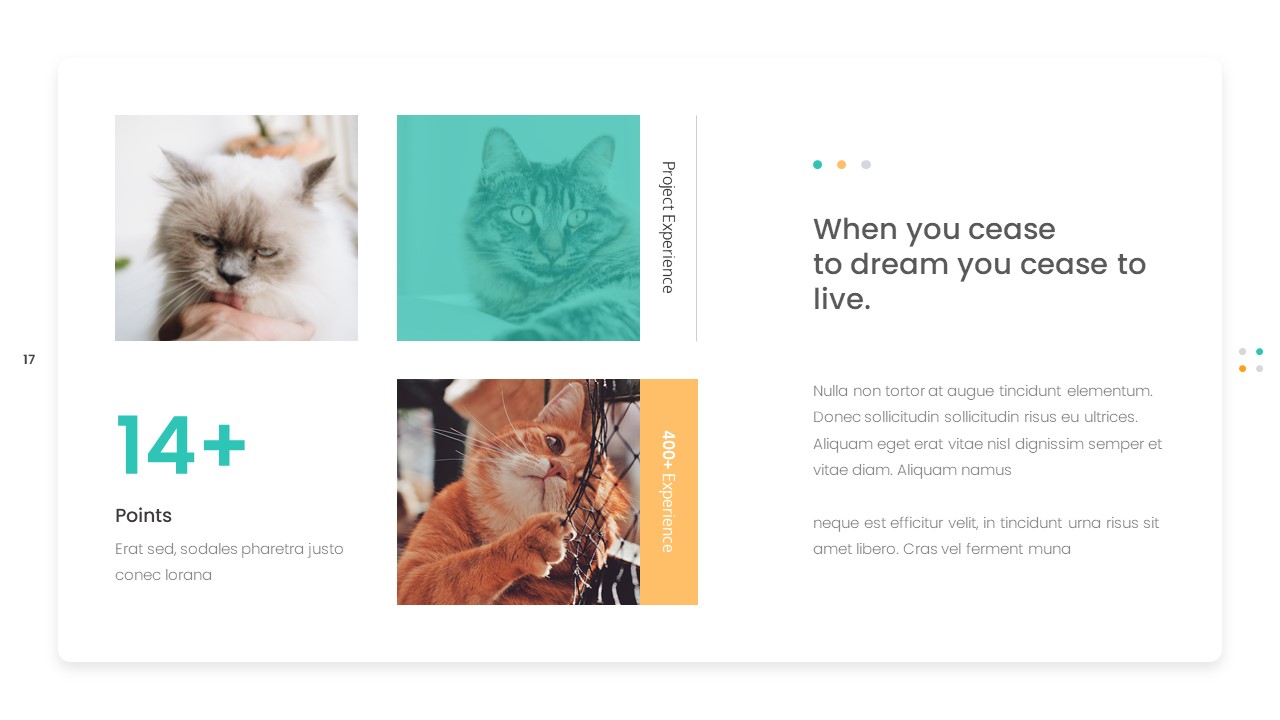 Paws - Animal Care Powerpoint Presentation, Presentation Templates