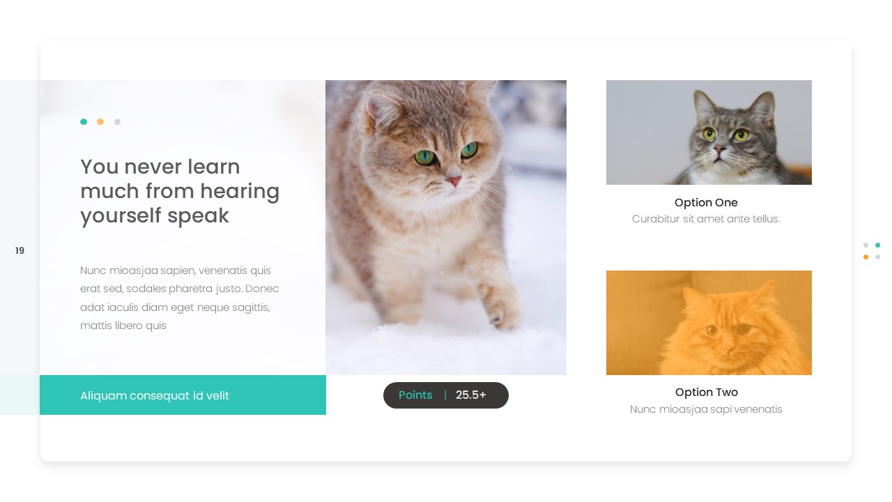 Paws - Animal Care Powerpoint Presentation, Presentation Templates