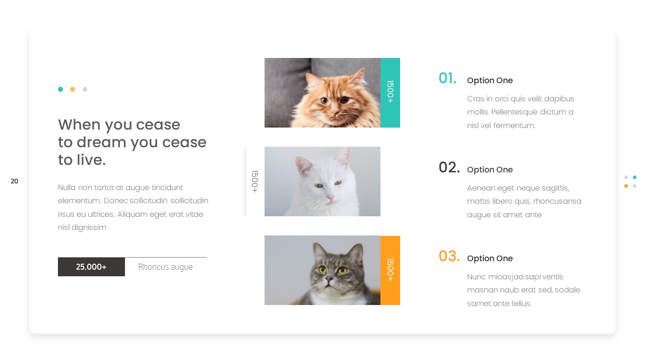 Paws - Animal Care Powerpoint Presentation, Presentation Templates