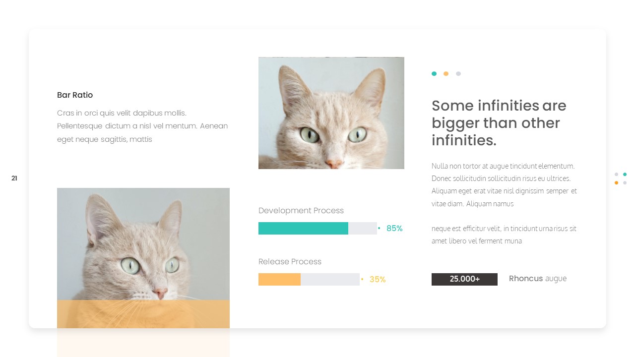 Paws - Animal Care Powerpoint Presentation, Presentation Templates