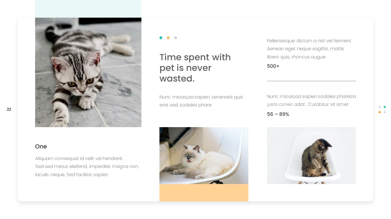 Paws - Animal Care Powerpoint Presentation, Presentation Templates