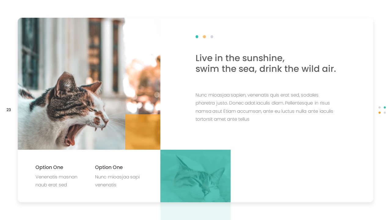 Paws - Animal Care Powerpoint Presentation, Presentation Templates