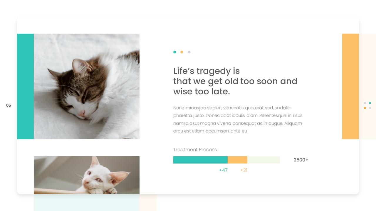 Paws - Animal Care Powerpoint Presentation, Presentation Templates