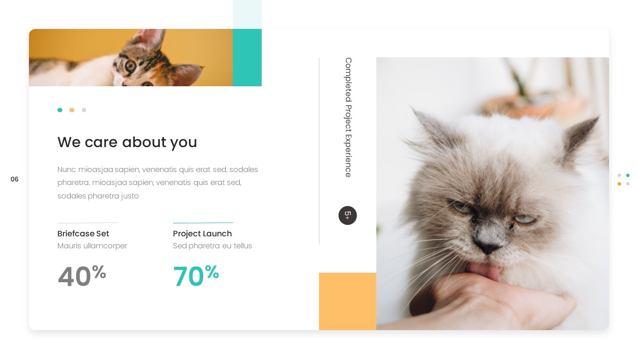 Paws - Animal Care Powerpoint Presentation, Presentation Templates
