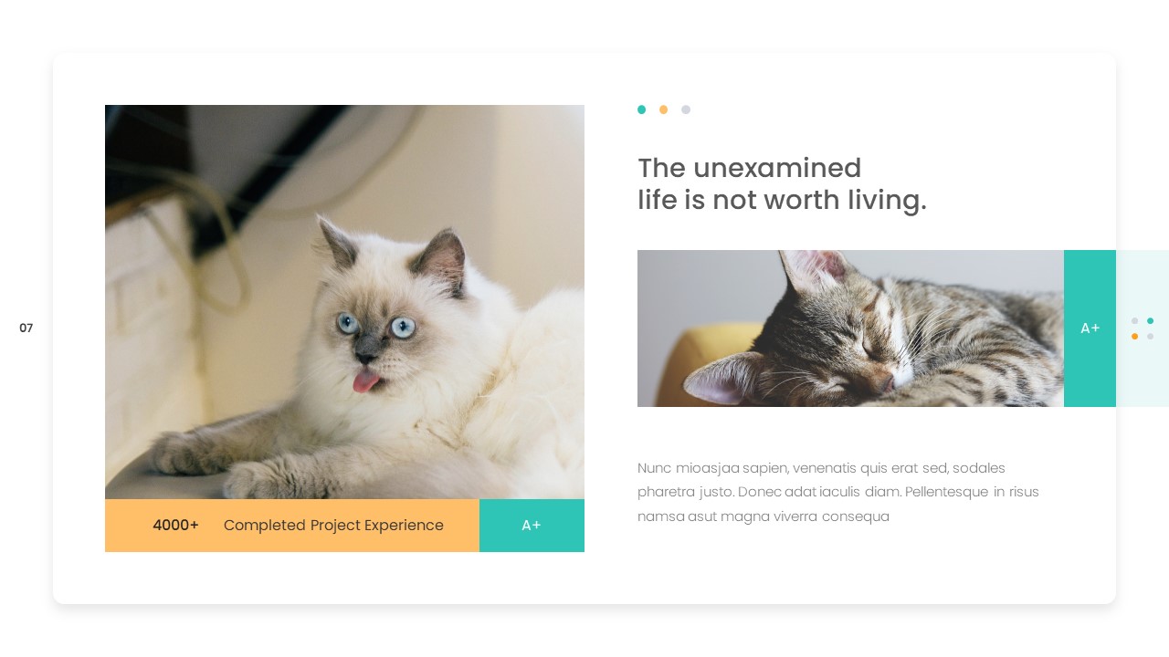 Paws - Animal Care Powerpoint Presentation, Presentation Templates