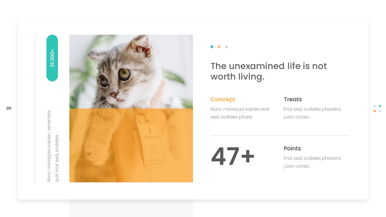 Paws - Animal Care Powerpoint Presentation, Presentation Templates