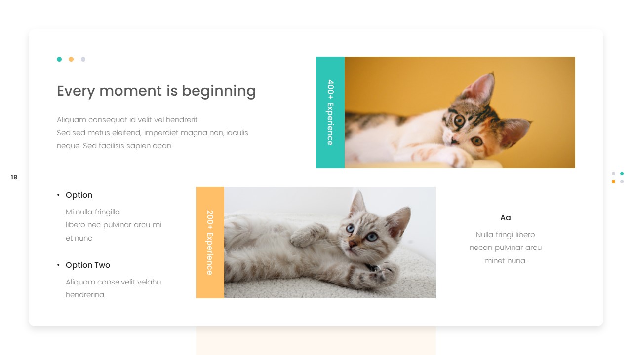 Paws - Animal Care Googleslide Presentation, Presentation Templates