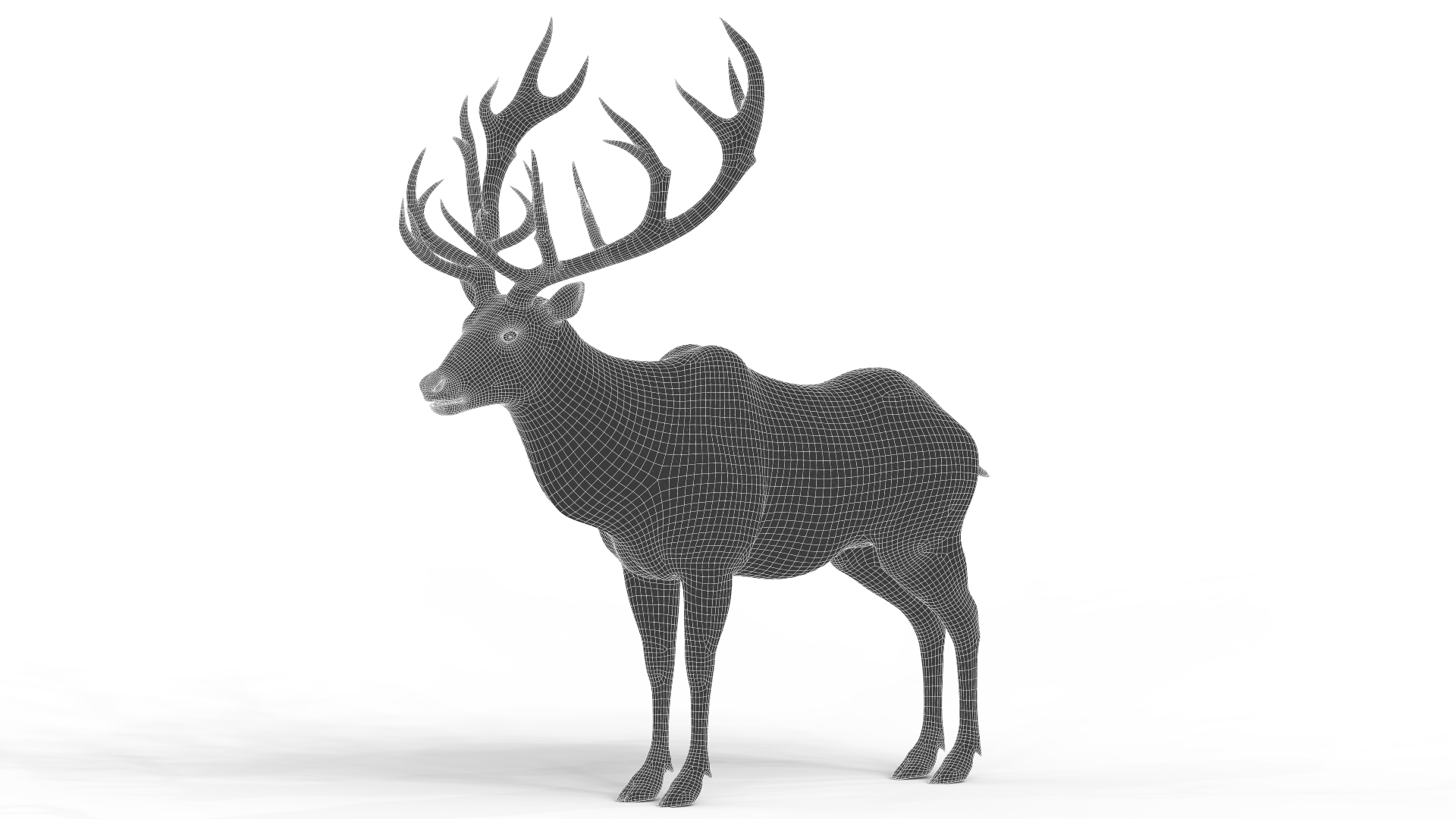 Red Deer With PBR Textures by creativejungle007 | 3DOcean