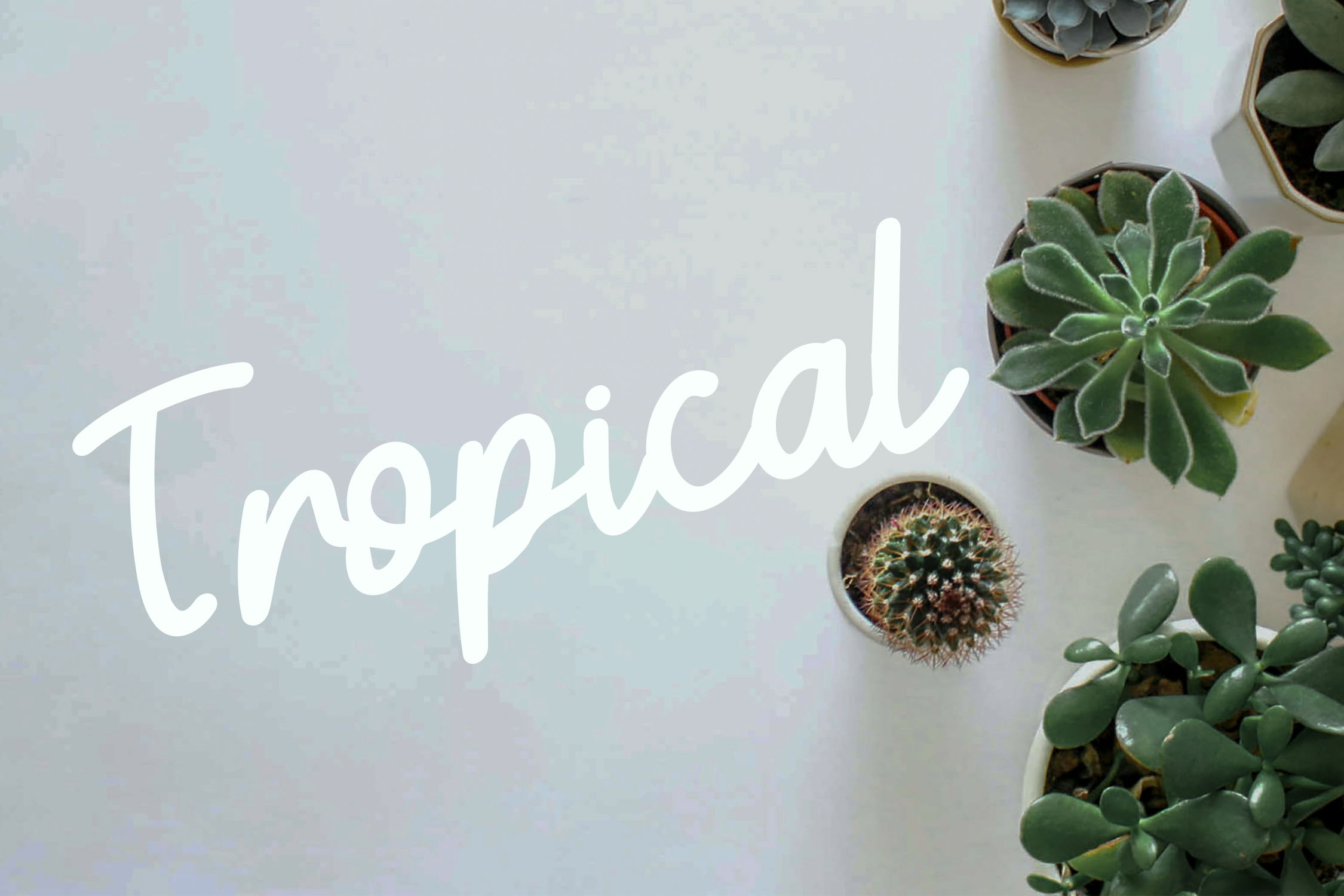 Bellia - Playful Script Font, Fonts | GraphicRiver