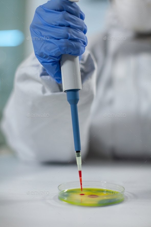 Closeup of biologist researcher woman hands putting blood in petri dish ...