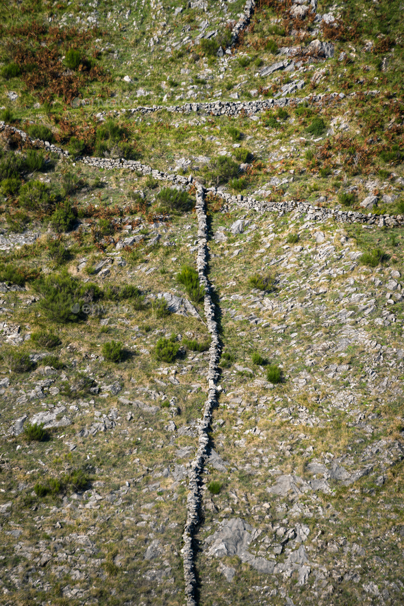 Geometric formations in the divisions of plots Stock Photo by luisvilanova