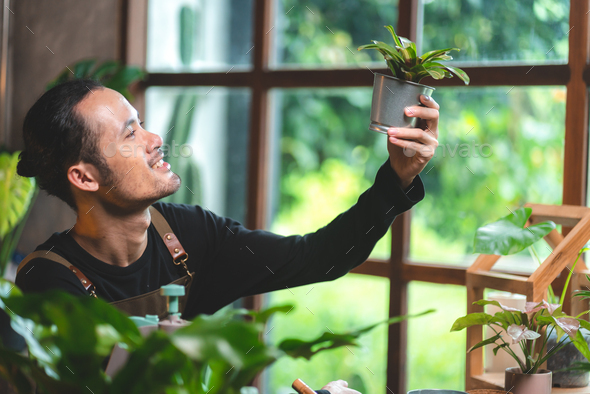 young Asian man are happy with growing plant in small green garden at ...