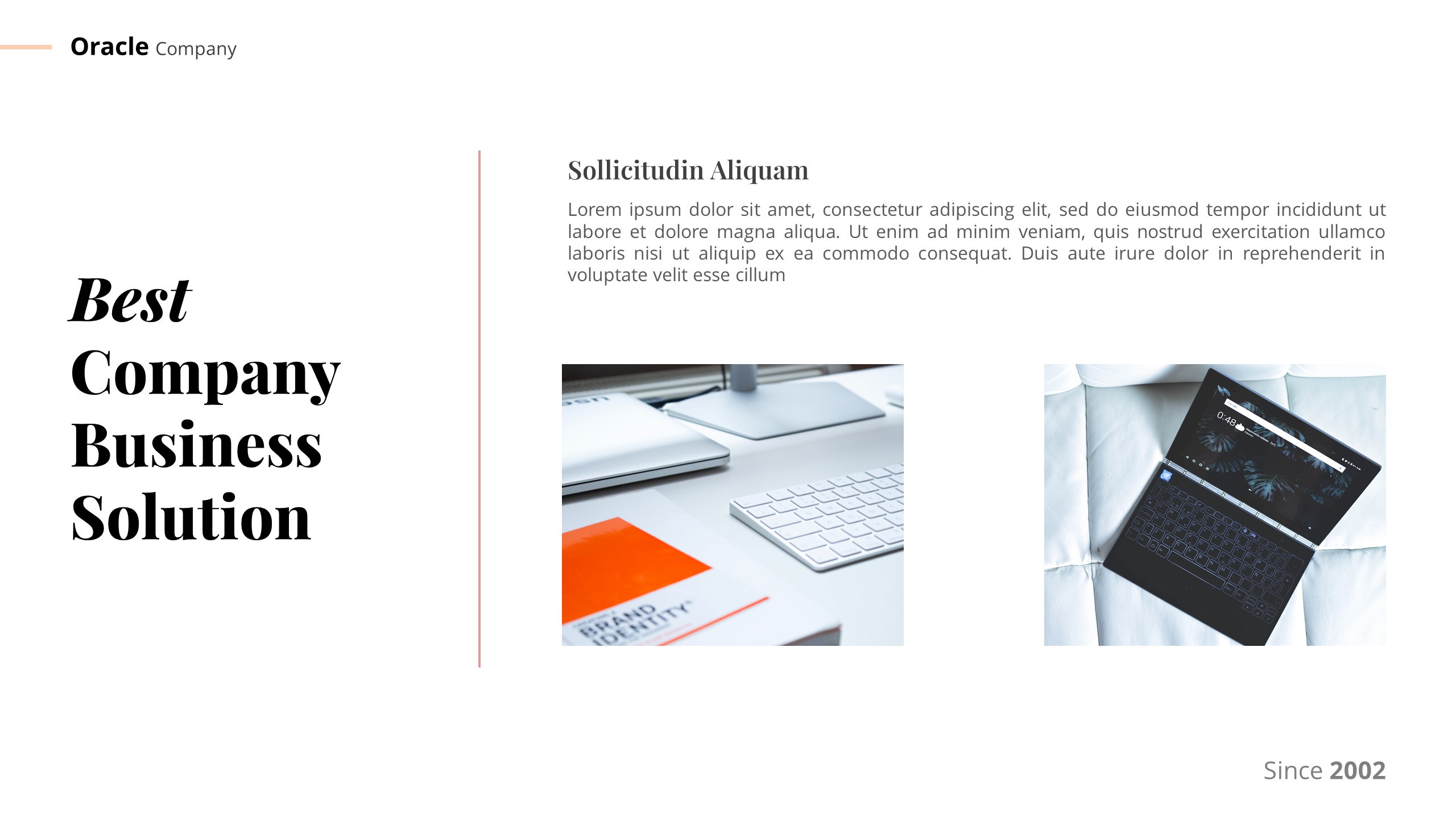 Oracle - Minimal Presentation PowerPoint Template, Presentation Templates