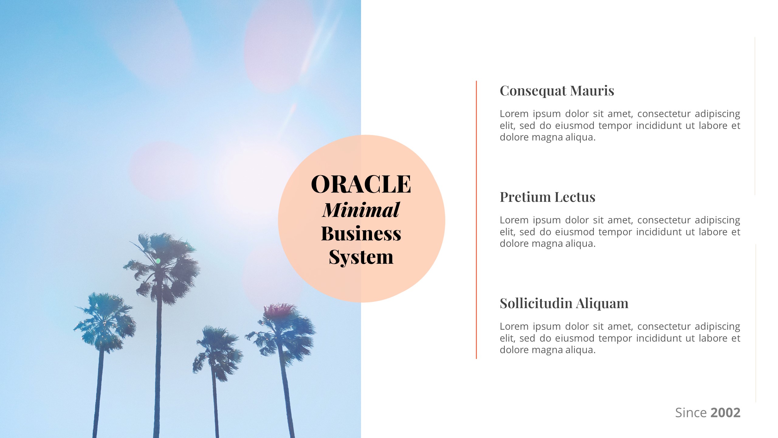 Oracle - Minimal Presentation PowerPoint Template, Presentation Templates