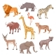 African Savannah Wild Animal Set, Graphics | GraphicRiver