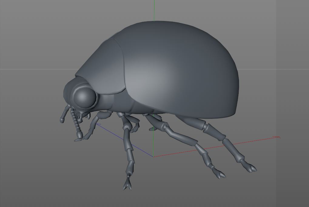 Ladybug insect 3d model by TurboCG | 3DOcean