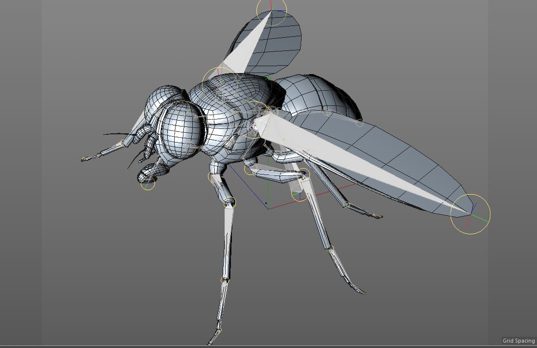 Housefly insect 3d model by TurboCG | 3DOcean