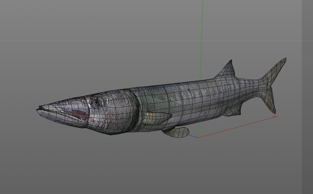 Barracuda fish 3d model by TurboCG | 3DOcean