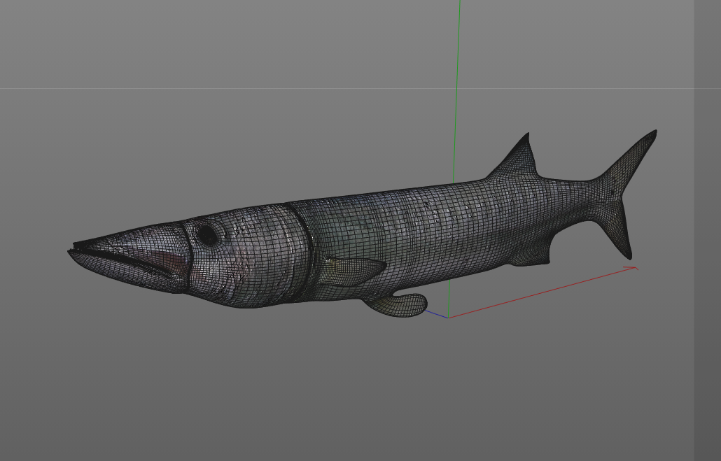 Barracuda fish 3d model by TurboCG | 3DOcean