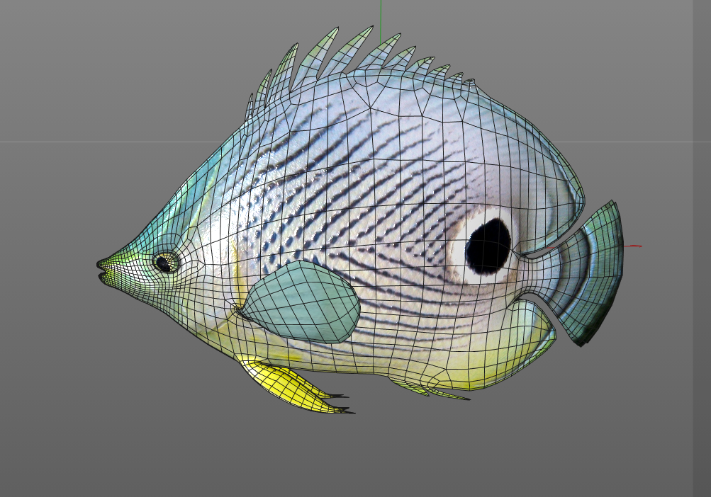 Four eye butterfly fish 3d model by TurboCG | 3DOcean