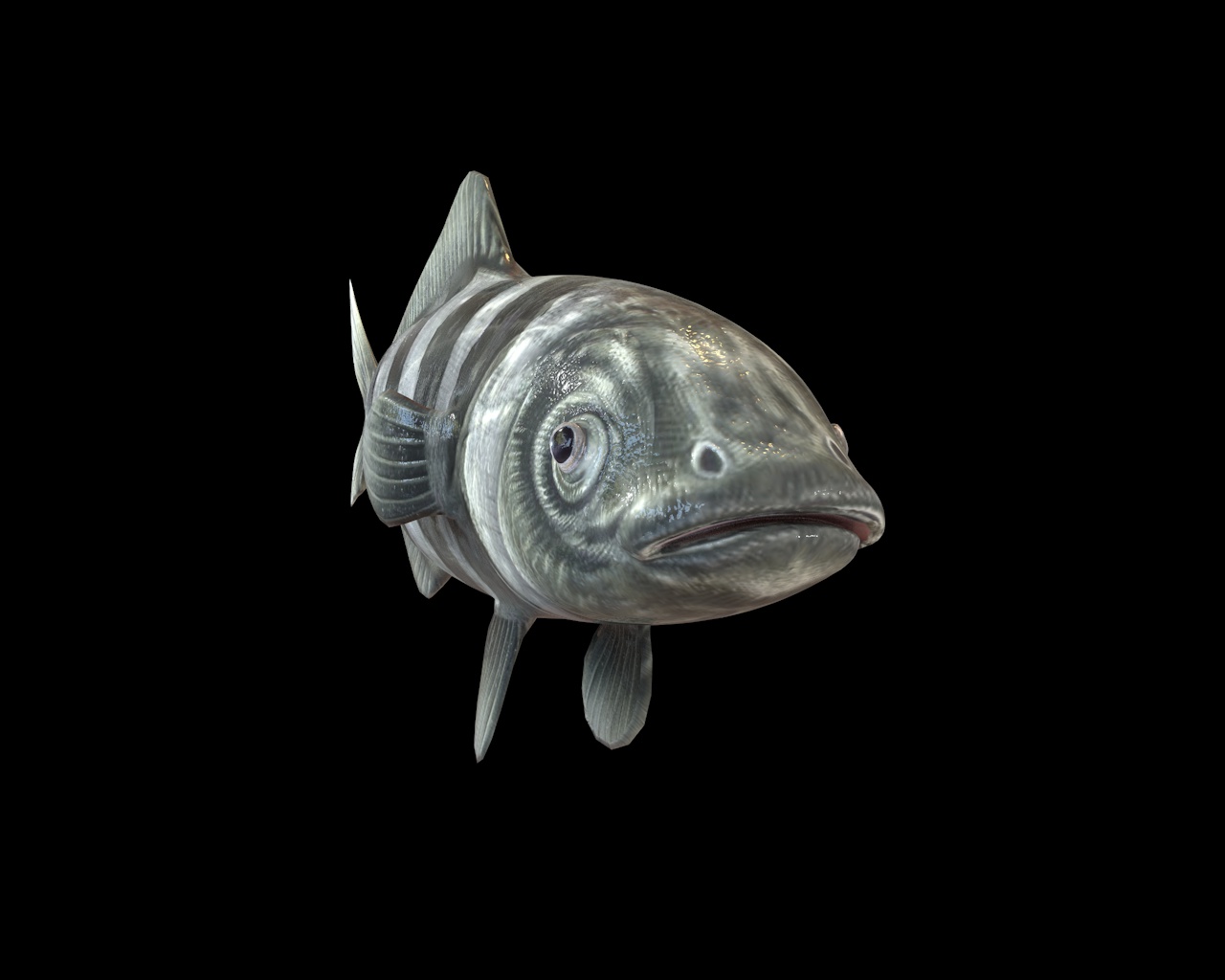 Pilot Fish 3d model by TurboCG | 3DOcean