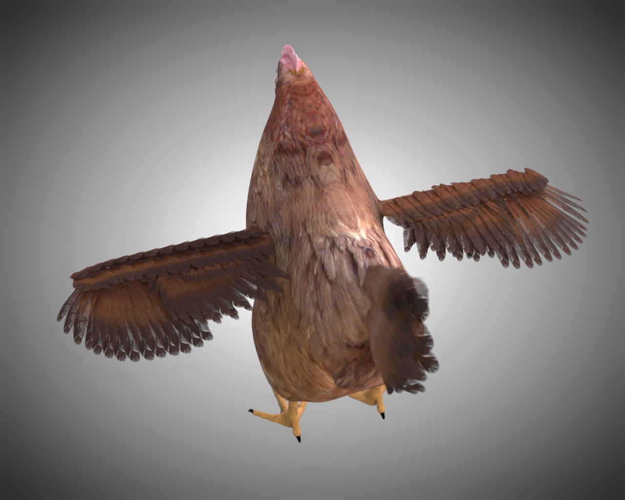 Chicken Hen Bird 3D Model by TurboCG | 3DOcean
