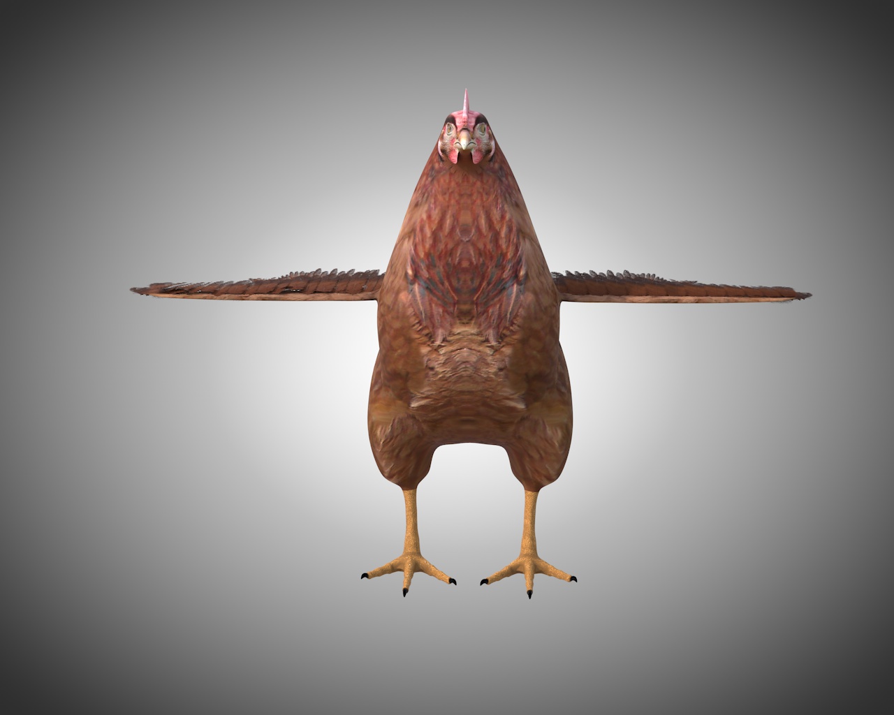 Chicken Hen Bird 3D Model by TurboCG | 3DOcean