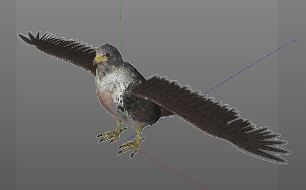 Falcon bird 3d model by TurboCG | 3DOcean
