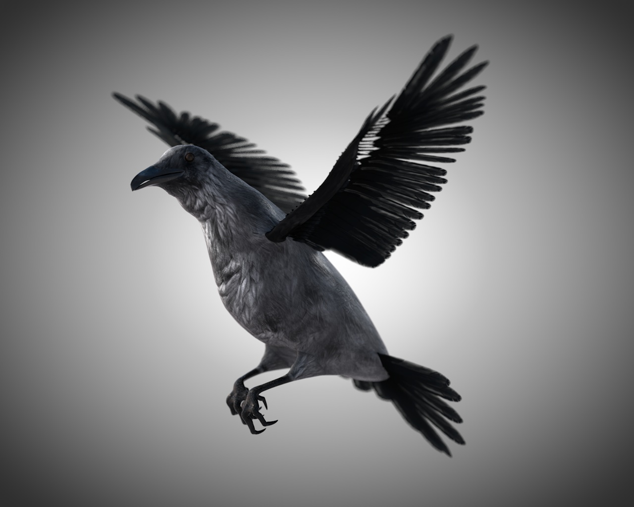 Raven bird 3d model by TurboCG | 3DOcean