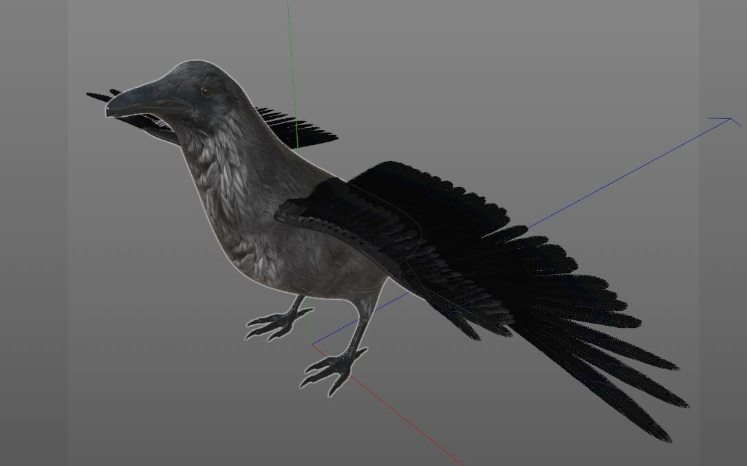 Raven bird 3d model by TurboCG | 3DOcean