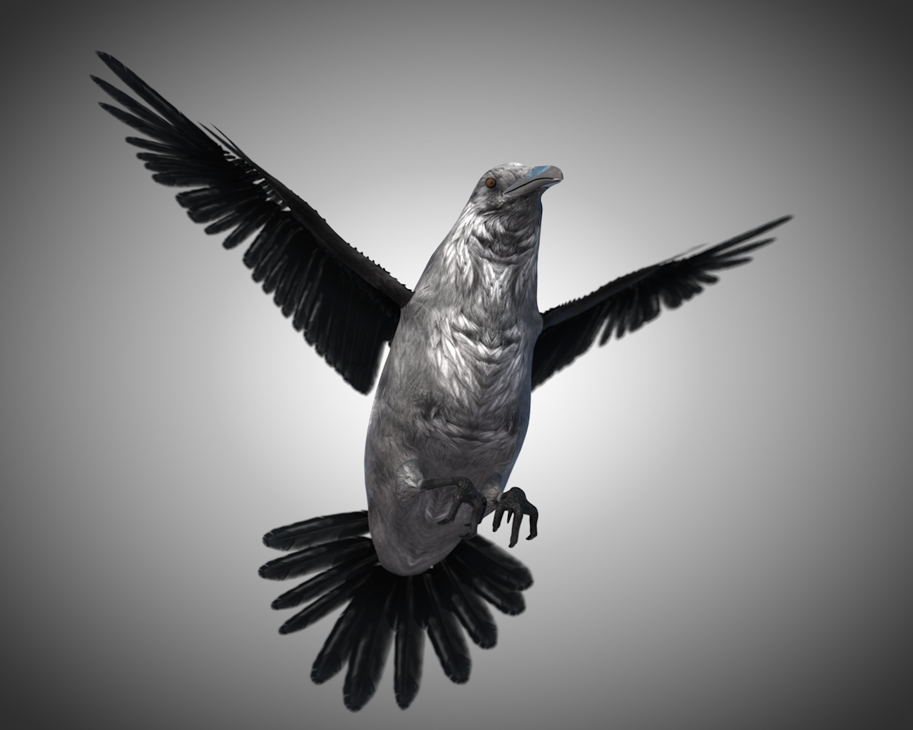 Raven bird 3d model by TurboCG | 3DOcean