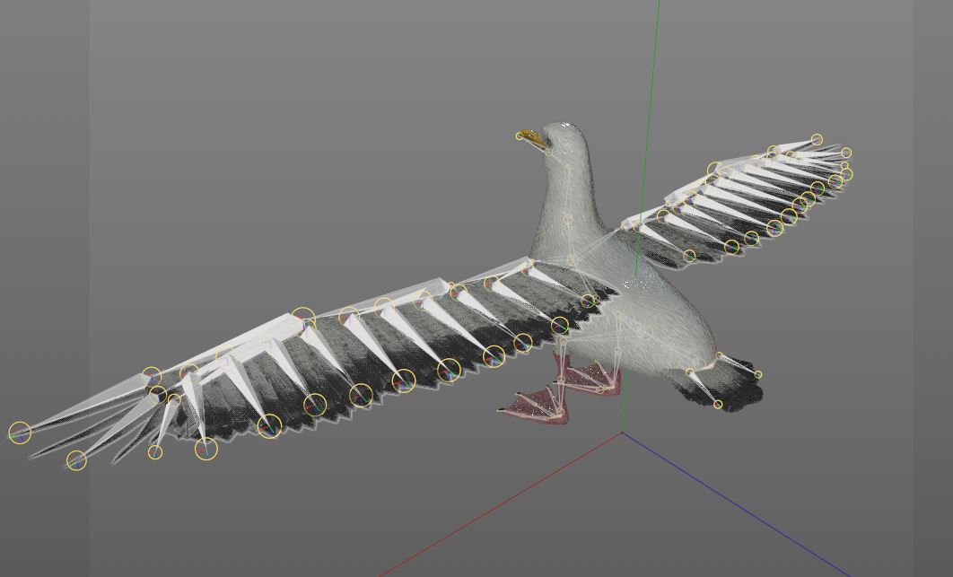 Seagull bird 3d model by TurboCG | 3DOcean