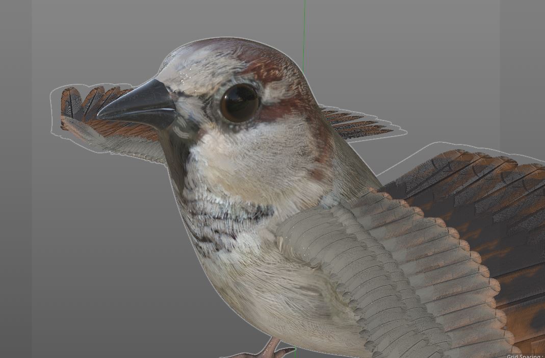 Sparrow bird 3d model by TurboCG | 3DOcean