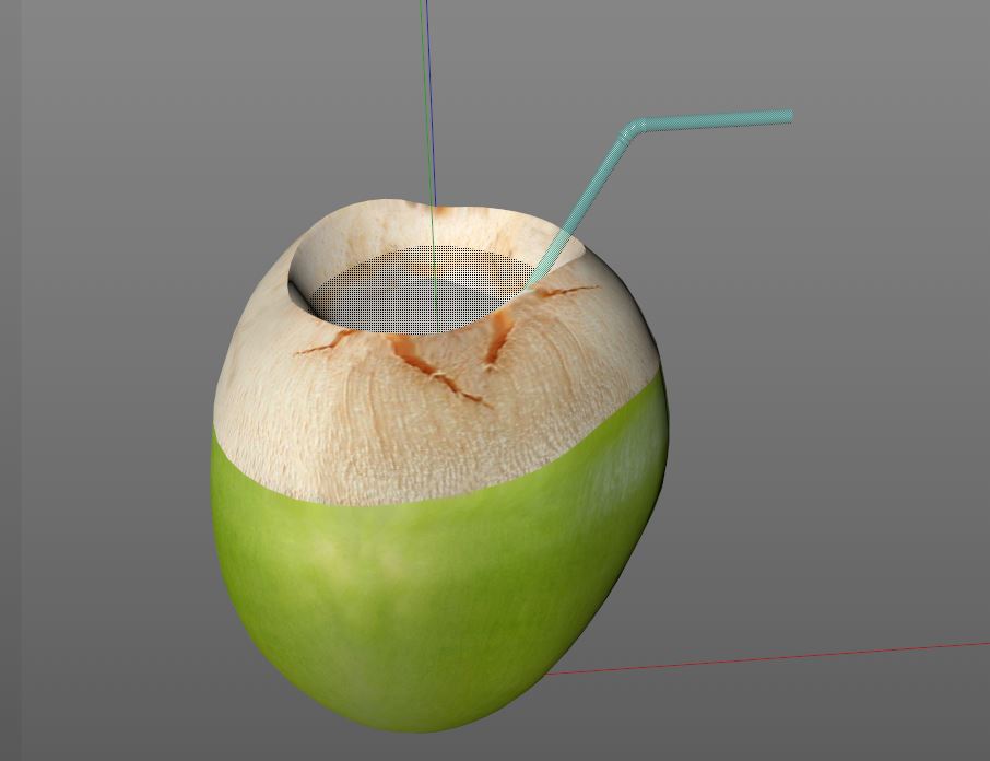 coconut water sliced 3d model by TurboCG | 3DOcean