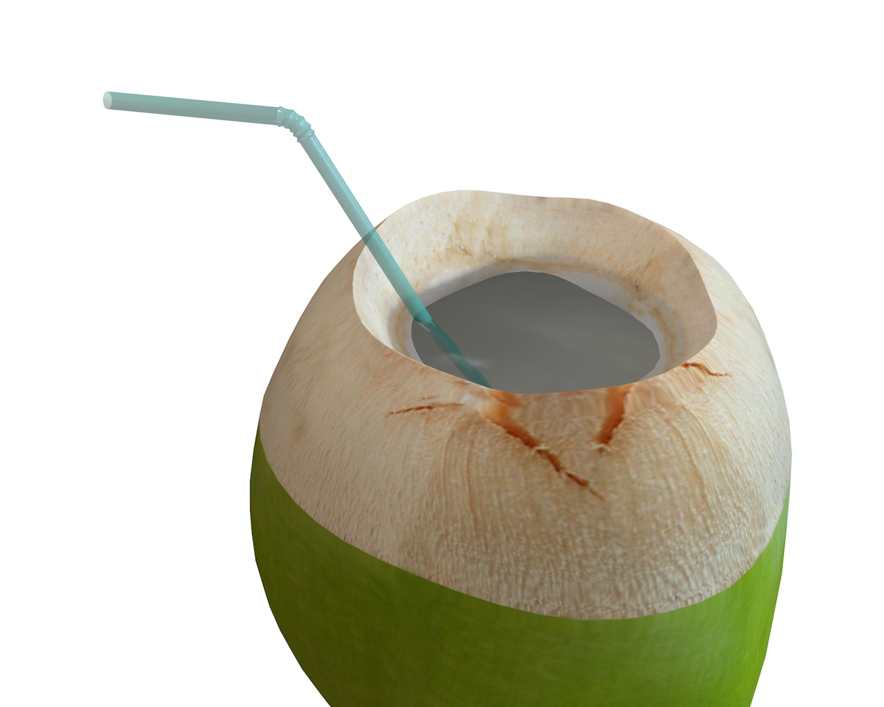 coconut water sliced 3d model by TurboCG | 3DOcean
