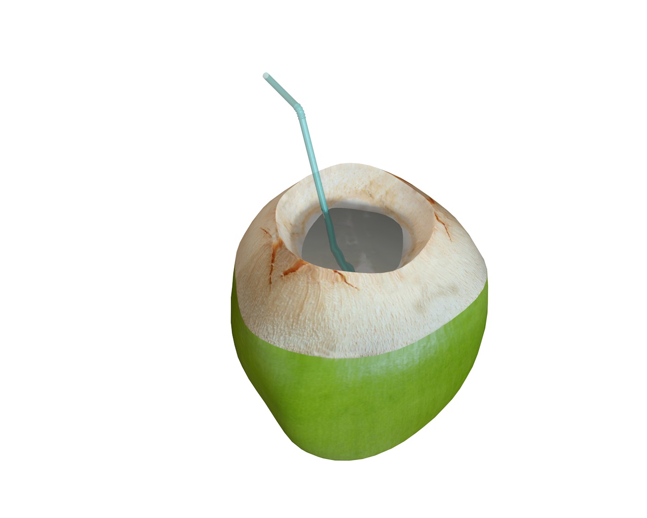 coconut water sliced 3d model by TurboCG | 3DOcean
