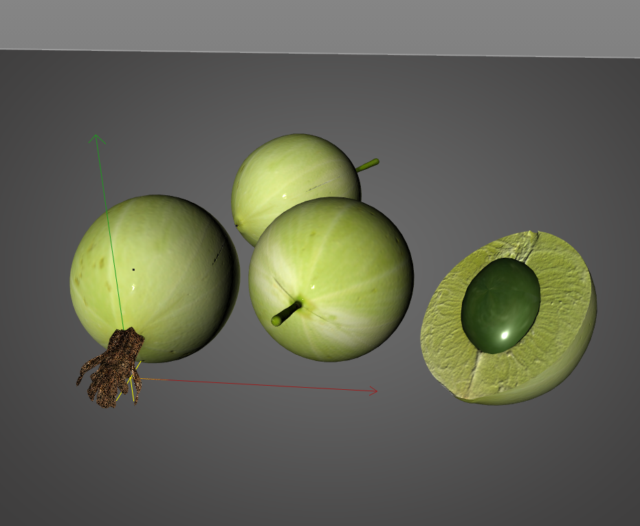 Gooseberry 3d model by TurboCG | 3DOcean