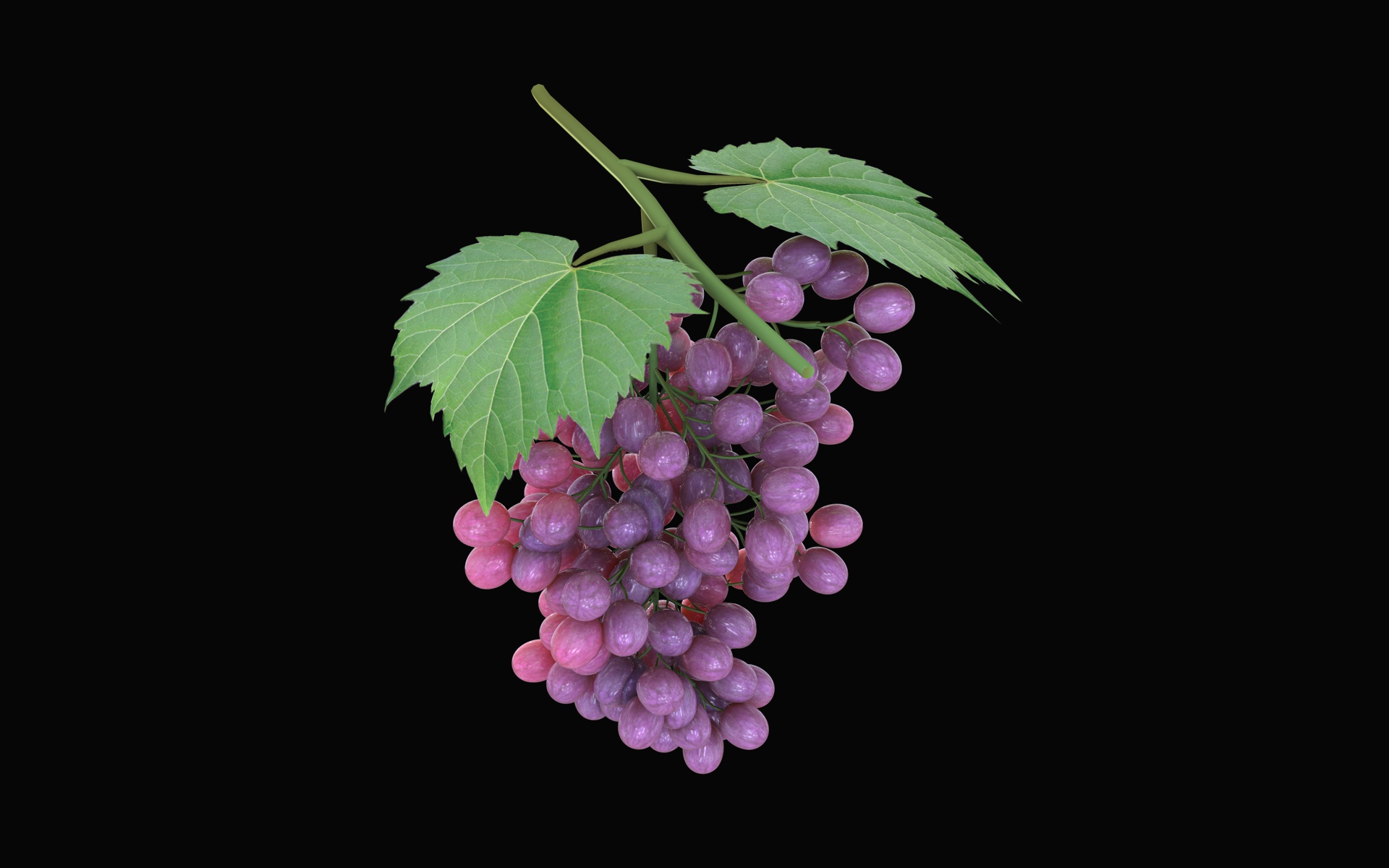 Grapes 3d model by TurboCG | 3DOcean