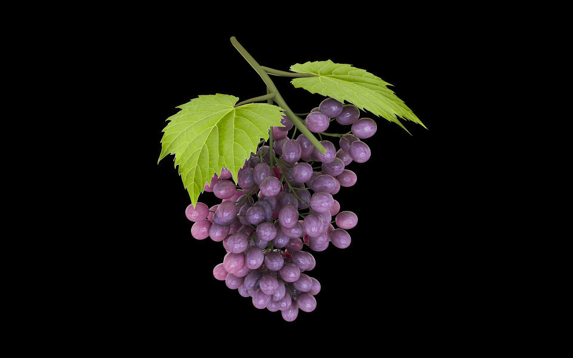 Grapes 3d model by TurboCG | 3DOcean