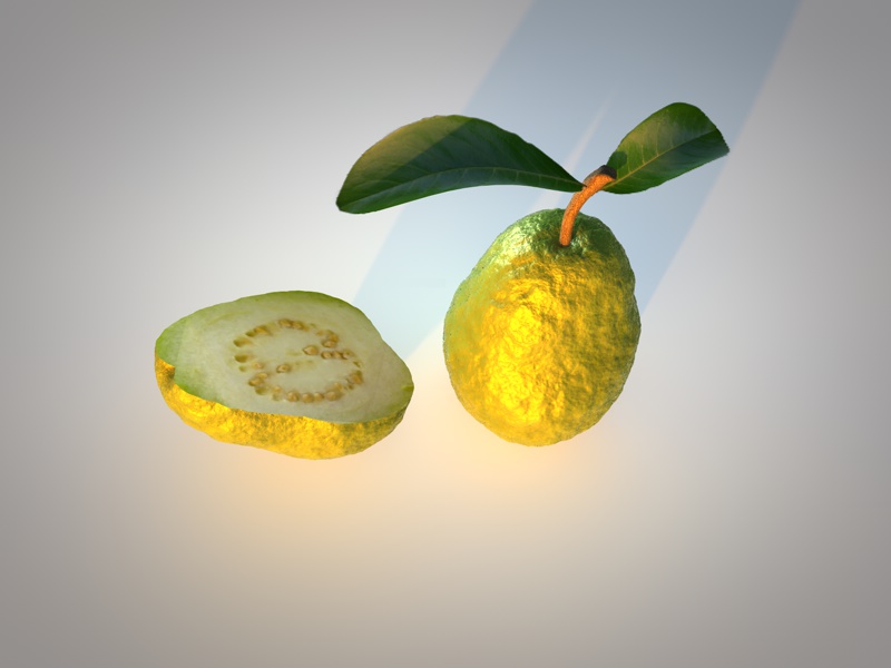 Guava 3d model by TurboCG | 3DOcean