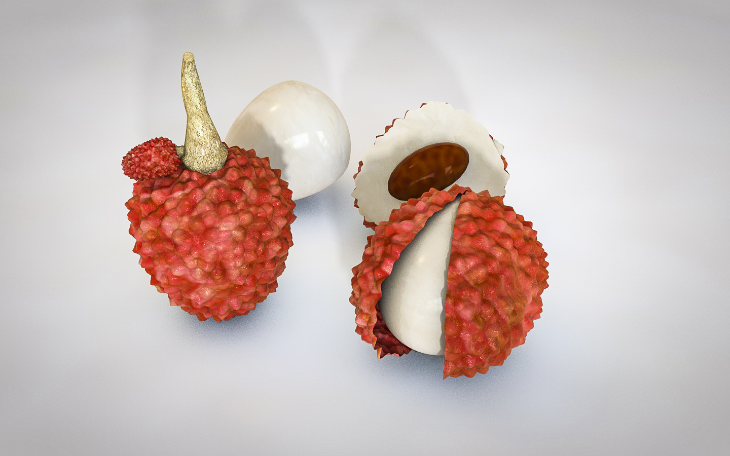 lychee 3d model by TurboCG | 3DOcean