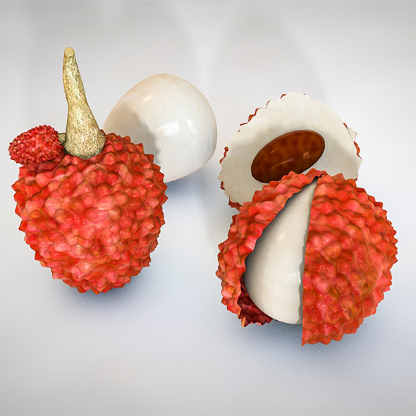 lychee 3d model by TurboCG | 3DOcean
