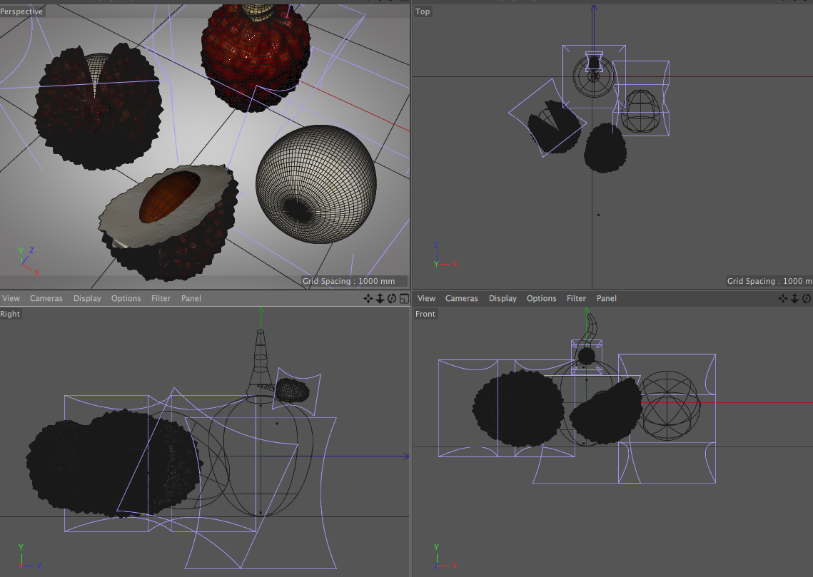 lychee 3d model by TurboCG | 3DOcean