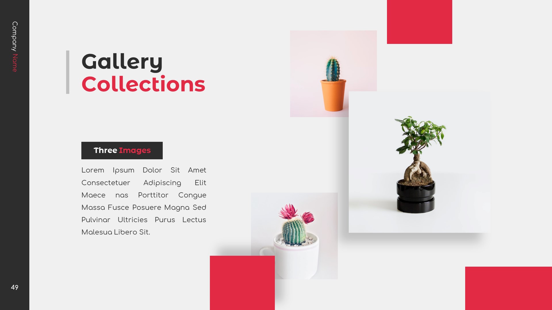 DEFLA - Multipurpose Presentation Template v.1, Presentation Templates