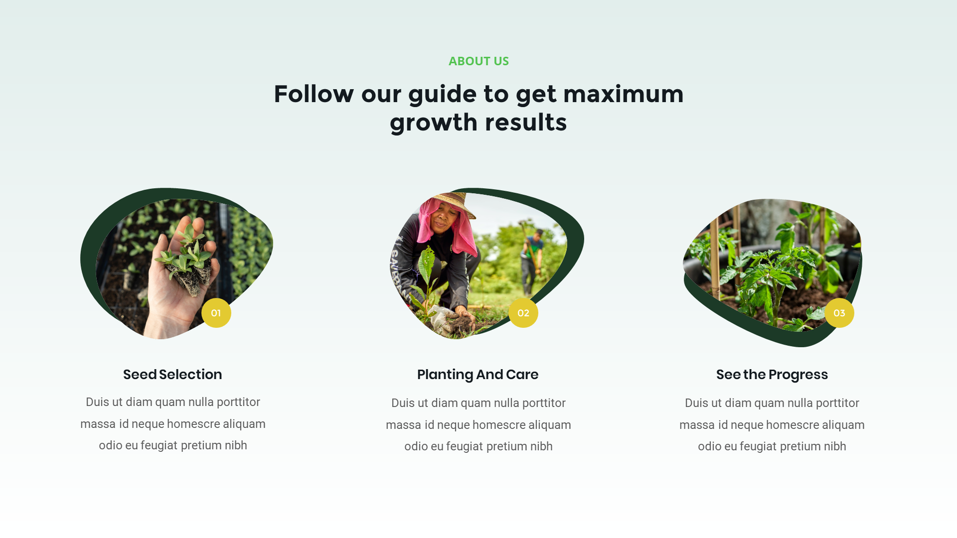 Plantgard - Garden & Planting Google Slides Template, Presentation ...