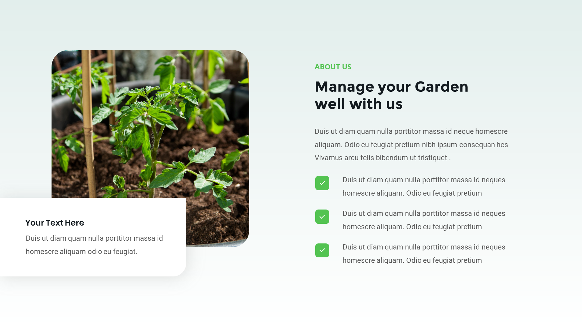 Plantgard - Garden & Planting Google Slides Template, Presentation ...