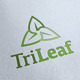 TriLeaf, Logo Templates | GraphicRiver