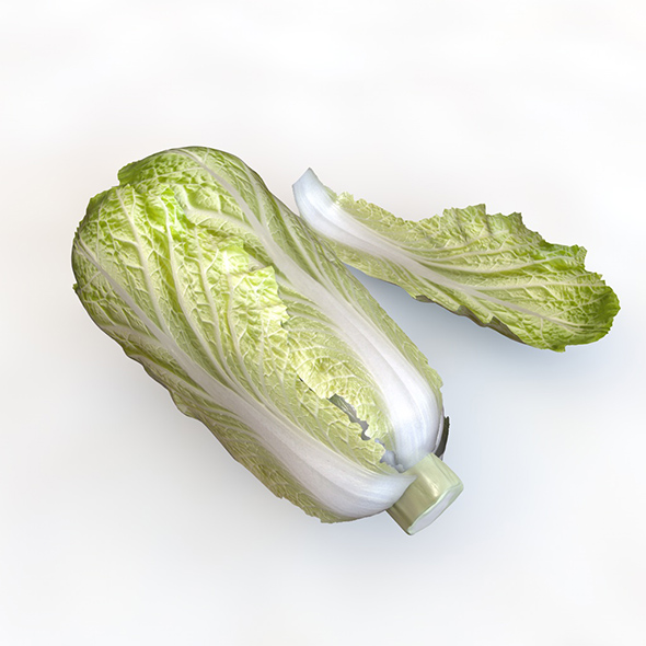 Kimchi napa cabbage 3d model by TurboCG | 3DOcean