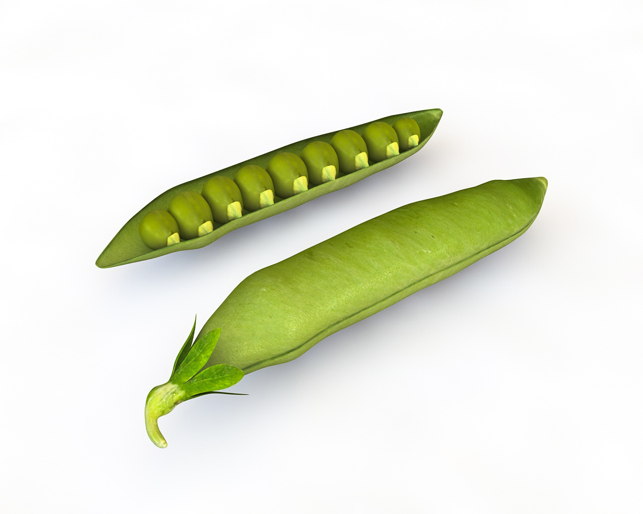 Peas 3d model by TurboCG | 3DOcean