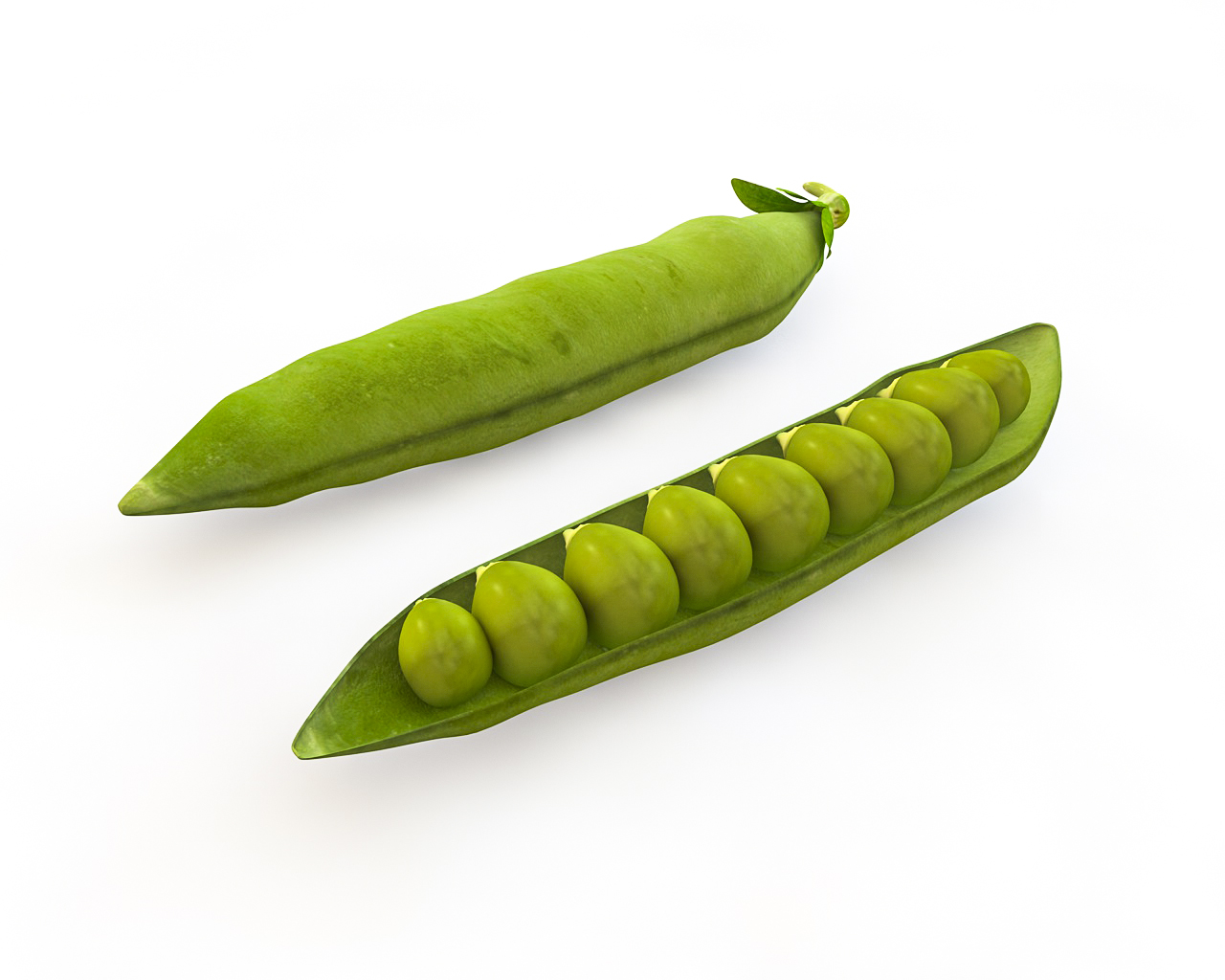 Peas 3d model by TurboCG | 3DOcean